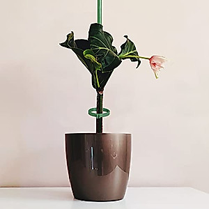 12 Inch Plant Support Stakes, with Adjustable Retaining Ring Green Plant Sticks Support Stakes for Indoor and Outdoor Plants,Flowers,Climbing(10Pcs)