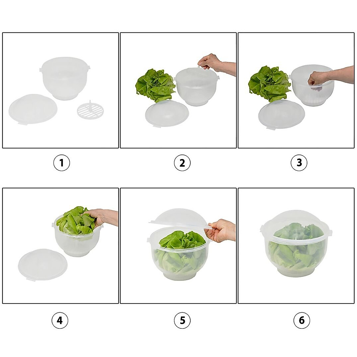 Lettuce Keeper | Vegetable and Fruit Crisper | Lettuce Crisper Salad Keeper Container Keeps your Salads and Vegetables Crisp and Fresh-7" X 8"- by Home-X