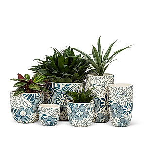 Abbott Collection Home Loons Dishcloths. Set of 2.