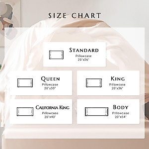 THXSILK Mulberry Silk Pillowcase, Champagne, Queen, 19 Momme, with Hidden Zipper, 20"