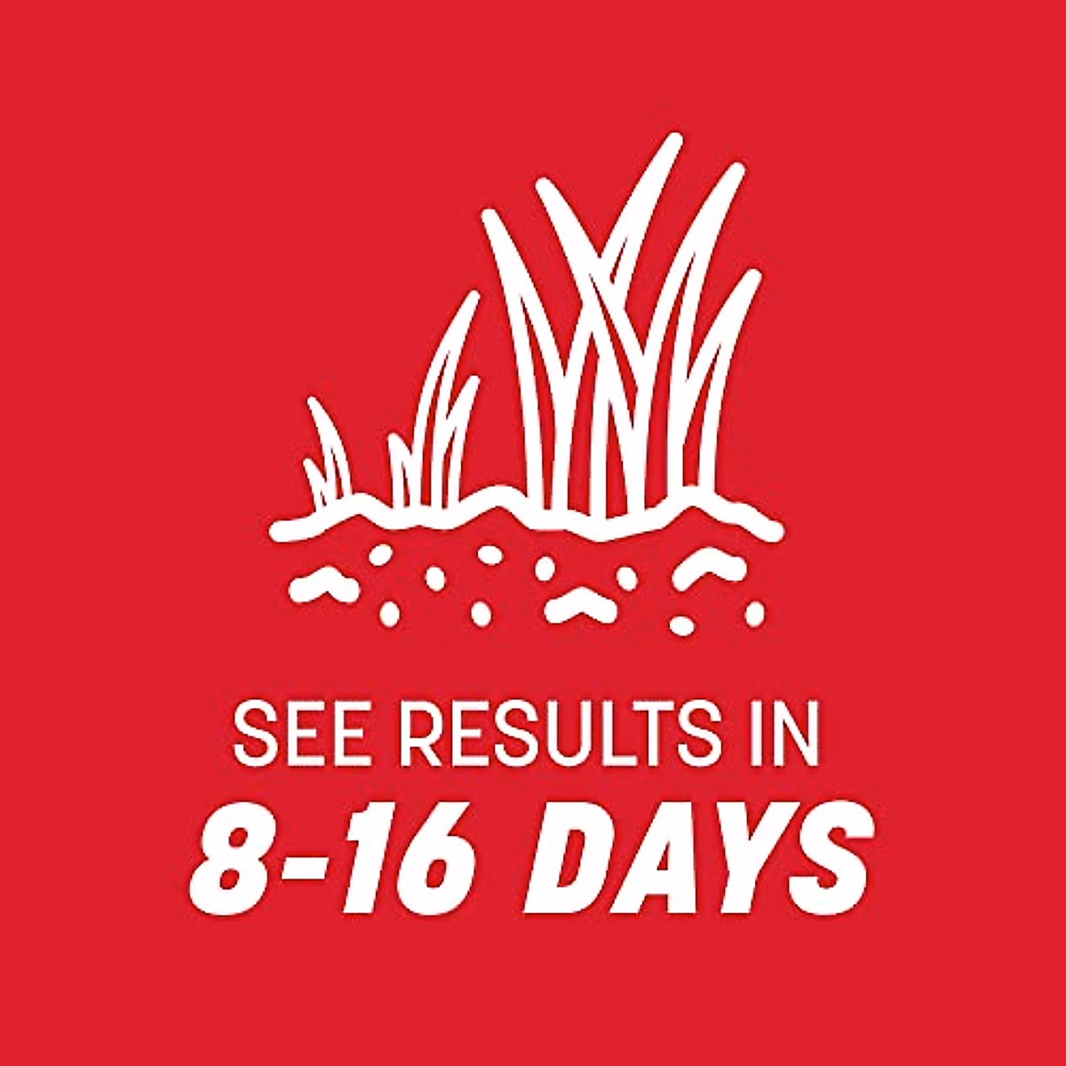 Pennington The Rebels Tall Fescue Grass Seed Mix 7 lb