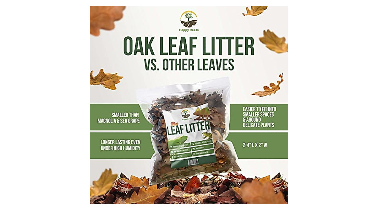Organic Oak Leaf Litter - 4 Quarts for Terrariums