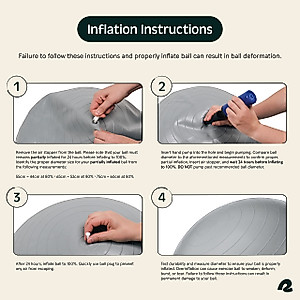 Retrospec Luna Exercise Ball - 55, 65, or 75cm Yoga Ball for Workouts, Stability, Pregnancy - Swish Balance Ball w/Pump & Base for Office & Home Gym