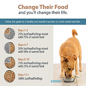 JustFoodForDogs Frozen Fresh Dog Food, Complete Meal or Dog Food Topper, Chicken & Rice Human Grade Dog Food Recipe, 18 oz (Pack of 7)