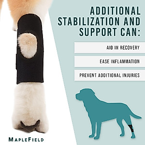 Maplefield - Dog Leg Brace - Rear Hock Hind Leg Support for Canines - Helps Promote Healing and Rehabilitation, Prevents Injuries, and Helps with Arthritis (XS)
