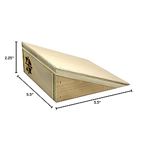Wide Kicker/Bank Fingerboard Ramp - Handmade in USA - 5.5" Long, 2.25" Tall - Teak Tuning
