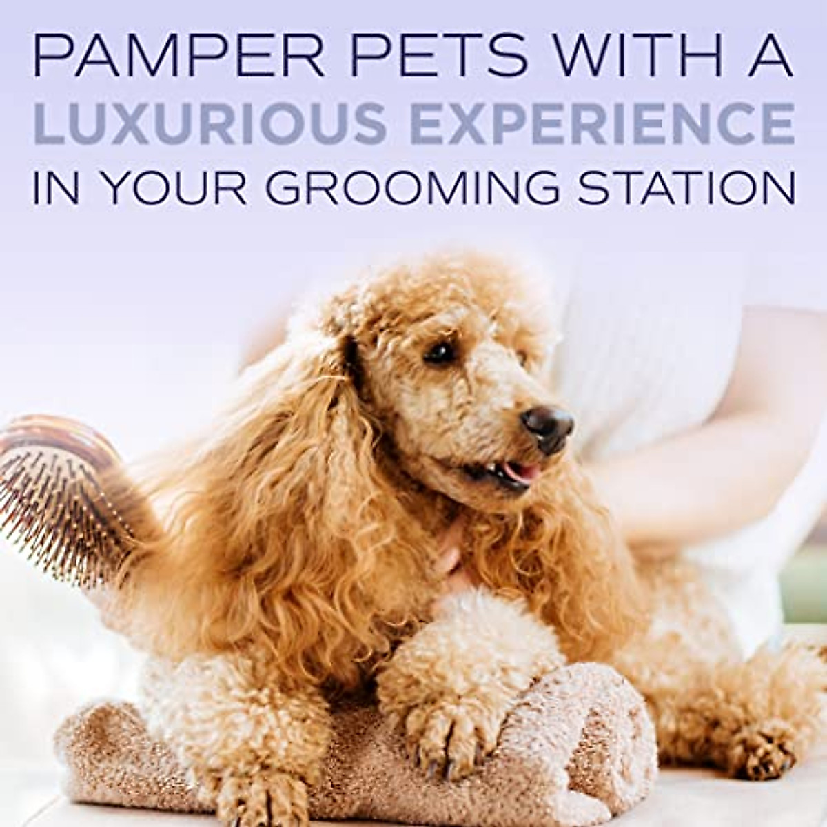 TropiClean SPA Lavish Dog Shampoo | Dog Whitening Shampoo For White Coats & All Other Coat Types | Naturally Derived Salon Grade Ingredients | Made in the USA | 1 Gallon