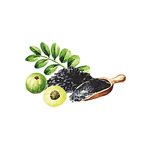 KHADI DETOX MASK Ayurvedic Hair Mask, color pre-treatment & deep cleansing with Amla activated carbon, removes silicone buildup & styling product residue, 100% herbal & vegan, natural cosmetic, 3.5oz