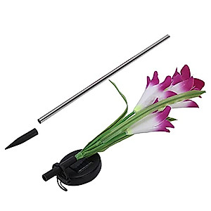 MIGONG Solar Garden Lights, Waterproof Garden Lights Outdoor Solar Lights Outdoor Garden Solar Garden Stake Lights for The Garden Trees Flowers Flowerbed Fence Walkway (Purple Color)