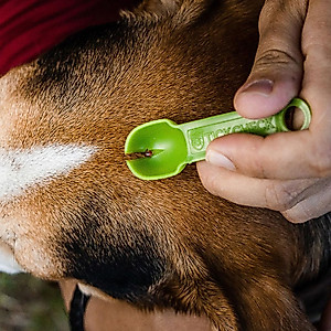 TickCheck Tick Remover Spoon - 3 Pack of Lightweight Tick Remover Tools with Free Tick ID Card & Carabiner (1 Set, 3 Spoons)