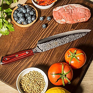Hammered Damascus Chef Knife, 8" Pakka Wood Handle 67-layer Full Tang Damascus Kitchen Knife with Professional Japanese VG10 Super Steel Core