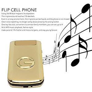 Dpofirs Unlocked Flip Phone 2G, Cell Phone for Seniors Kids, Big Button Mobile Phone with Large Sound, Dual SIM Dual Standy Phone, 4800mAh Battery