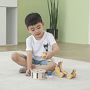 The Original Toy Company PolarB Viga Wood Toy - Pull Along Hedgehog with Sorting Wheel