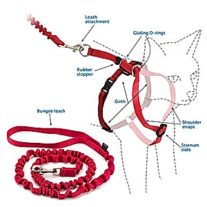 PetSafe Come With Me Kitty Glitter Harness and Bungee Cat Leash, Large