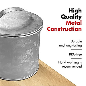 Amici Home Newport Galvanized Metal Canister | Dry Food Storage Container | Airtight Lid | 30 Ounce Capacity | Farmhouse Décor | Rustic Metal Canister for Kitchen Countertop (Silver)