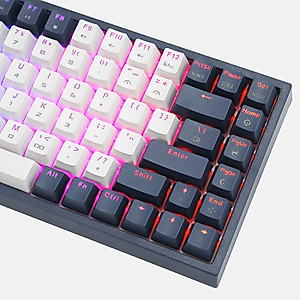 HUO JI CQ84 Wireless Mechanical Gaming Keyboard, Programmable RGB Backlit, Bluetooth, Red Switches, 84 Keys, Wired 60% Keyboard for iPad, iMac Android/Windows Tablet Laptop Desktop, White Blue