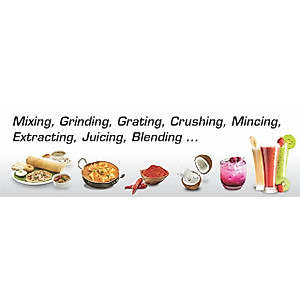 Vidiem BRONZE Stainless Steel Jars with Juice Extractor 750 Watts,110 volts with Free Service Kit included