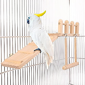 Bird Perches Cage Toys Bird Wooden Play Gyms Stands with Climbing Ladder, Parrot Play Stand and Bird Swing Conure for Green Cheeks, Baby Lovebird, Chinchilla, Hamster, Bird Cage Chewing Toys Sets
