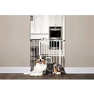 Carlson Extra Wide Walk Through Pet Gate with Small Pet Door, Includes 4-Inch Extension Kit, Pressure Mount Kit and Wall Mount Kit,White