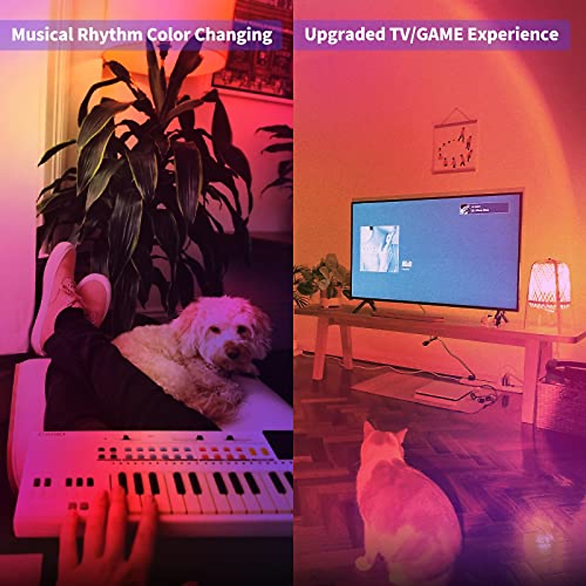 MagicLight Smart Light Bulb Works with Alexa Google Home, A19/E26 800LM Color Changing Light Bulb, WiFi & Bluetooth 5.0, Dimmable, RGBCW, Music Sync, APP Control, No Hub Required