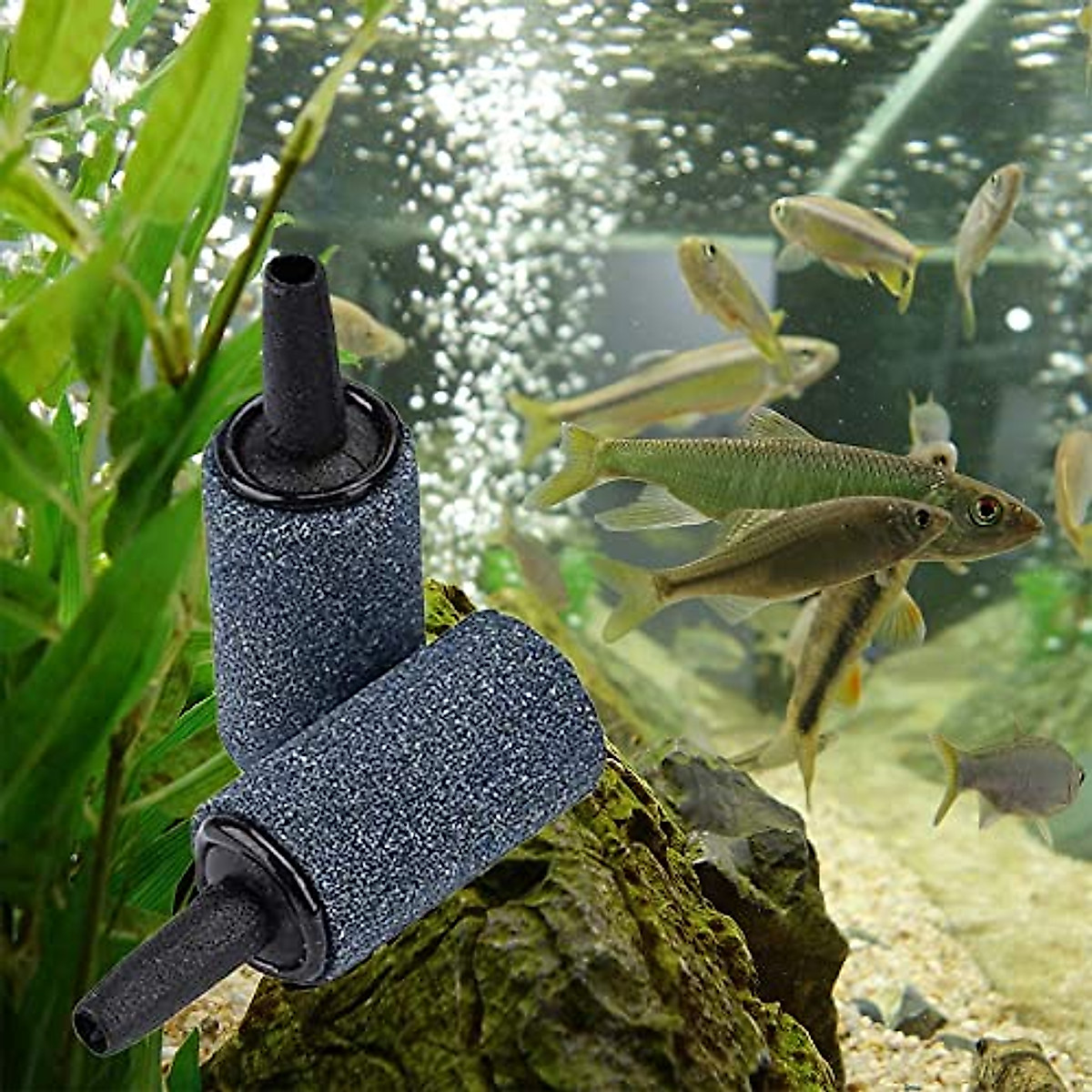 50 Pack 1 Inch Air Stone,Aquarium Air Stones, Cylinder Bubble Diffuser Airstone Fish Tank Bubbler Air Pump Accessories for Aquariums Hydroponics Grey (50 Pack)