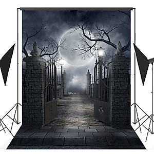 OUYIDA Halloween Theme 6X9FT Pictorial Cloth Seamless Customized Photography Backdrop Background Studio Prop TP17