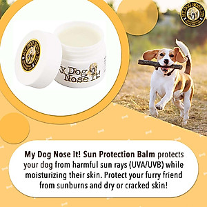 My Dog Nose It Moisturizing Sun Protection Balm for Dogs Noses - Protect Your Dog from Harmful UVA/UVB Rays .5 Ounce