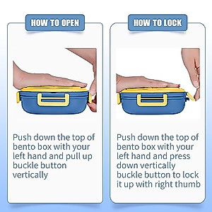 PEDECO Stainless Steel Kid Bento Box,4-Sided Lock Catch,Leak-Proof,2-Compartment,Lunch Box With Portable Cutlery-Ideal Portion Sizes (500ML) for Kids/Toddler-BPA-Free,Dishwasher Safe(Blue)