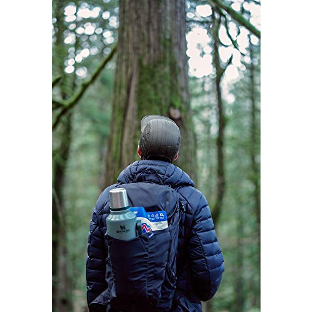 Mountain House Chicken Fried Rice | Freeze Dried Backpacking & Camping Food | 2 Servings | Gluten-Free