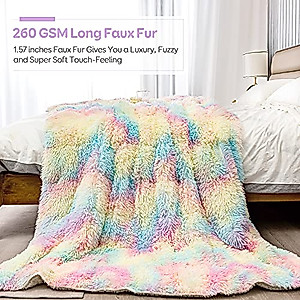 Cottonblue Weighted Blanket 15lbs Queen Size, Soft Faux Fur Sherpa Blanket, Reversible Fluffy Fleece Reverse Blankets, Warm and Cozy Rainbow Throw Decorative for Bedroom Sofa Floor, 60"x80"