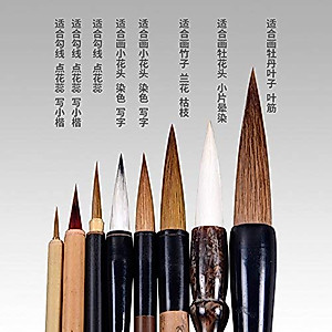 diandiandidi Chinese Brush, Writing Brush for Professional Calligraphy Kanji Japanese Sumi-e Drawing (8-Pieces Set)