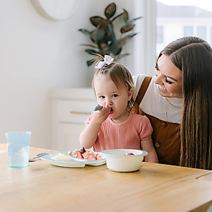 The First Years Disney Dumbo Meal Time Toddler Feeding Supplies - Includes Toddler Plate, Toddler Bowl, Cup, Fork, and Spoon - Baby Feeding Supplies - 5 Count