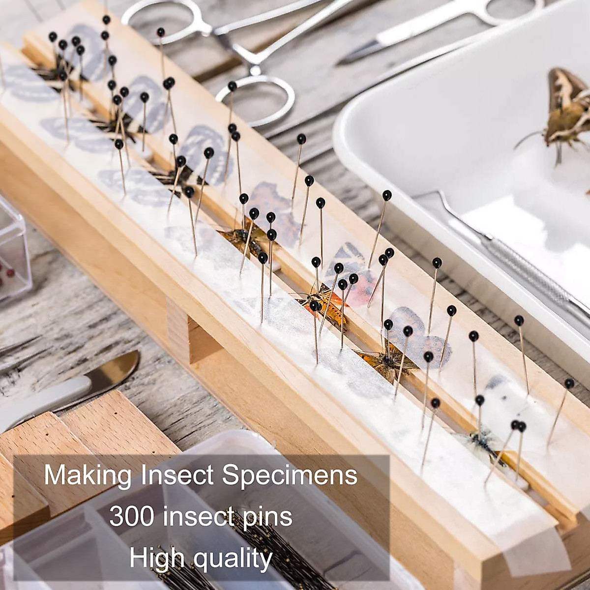 UKCOCO 300 Pcs Stainless Steel Insect Pins,Entomology Pins Needles Insect Specimen Pins for School Lab Entomology Butterfly Collectors (Size 0 1 2,100 Each)