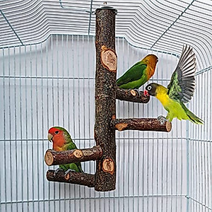 QeeHeng Bird Stand Perch,Natural Wood Parrot Perch Bird Cage,Bird Cage Perches for Parrots,Small Parakeets Cockatiels, Macaws, Parrots, Love Birds, Finches
