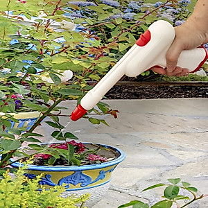 Cutter Deck & Patio Bug Control, Kills Mosquitos, Ants, Fleas and Other Listed Insects, Perfect for Backyards, 1 Gallon (Accushot Spray)