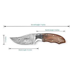 Perkin Hunting knife with sheath Damascus steel Skinner Knife full tang H14