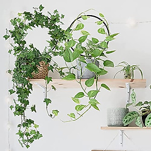 Metal Plants Climbing Trellis 3 Pack Wrought Iron Bonsai Plant Support Holder for Indoor Outdoor Garden Rose Flower Vine Metal Trellis