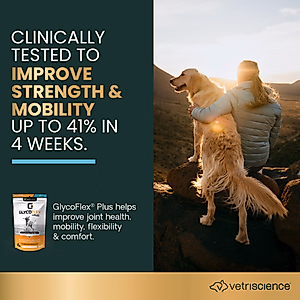VetriScience GlycoFlex Plus Hip and Joint Supplement for Dogs – Extra-Strength Joint Support Chews with Green Lipped Mussel, Chondroitin, and Glucosamine for Dogs