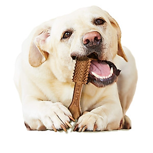 Nylabone Nutri Dent Dog Dental Chews - Natural Dog Teeth Cleaning & Breath Freshener - Dental Treats for Dogs - Filet Mignon Flavor, Large (20 Count)