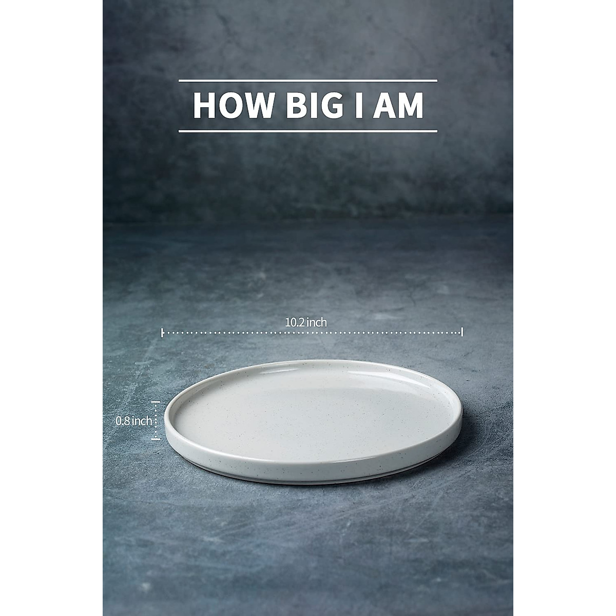 famiware Nebula 6 Pieces Dinner Plates, 10.2" Plates Set, Scratch Resistant, Stoneware Dinnerware, Kitchen Modern Rustic Dishes, Light Gray