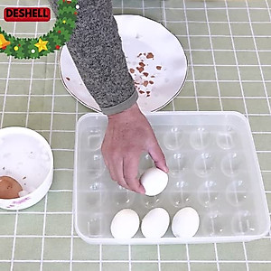 Serve Perfect Deviled Eggs with Ease - 2 Clear Egg Containers with Lid Hold 48 Eggs, Easy Pipe Filling and Carry, Dishwasher Safe Carrier, Stackable, BPA-Free, Party-Ready for Delicious Results