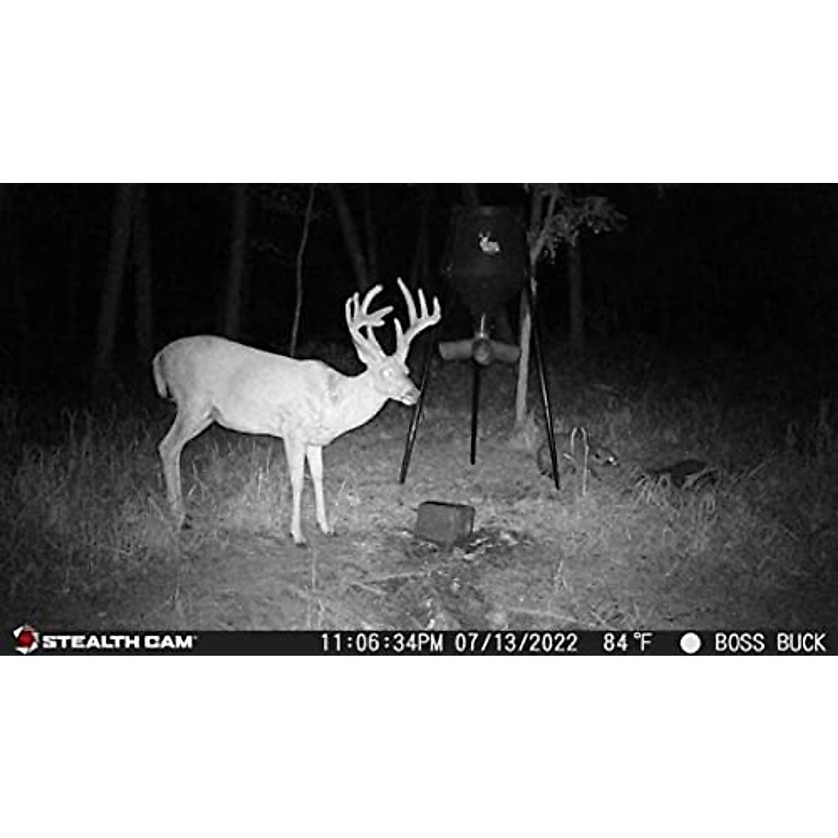 Stealth Cam GMAX32 NO GLO Vision 32MP Photo & 1080P Video at 30FPS 42-940nm LEDs 0.4 Sec Trigger Speed 100Ft Detection & IR Range Hunting Trail Camera