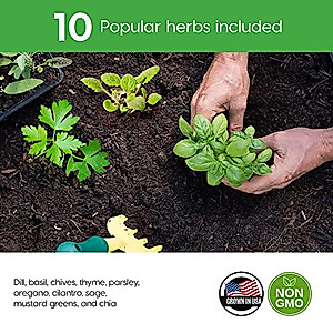 REALPETALED Indoor Herb Garden 10 Non-GMO Herbs– Complete Kitchen Herb Garden with 10 Reusable Pots, Drip Trays, Soil Discs and Seed Packets