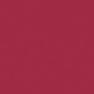 wet n wild Lip Liner Pencil Color Icon Lip Color Makeup, Fab Fuchsia (Pack of 2)