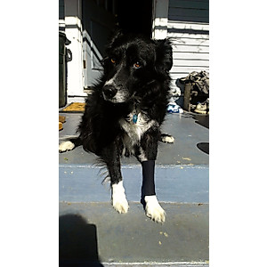 WALKABOUT Compression Sleeve (Black, XSmall