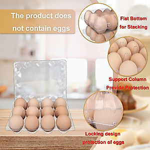 KUKLIPJIM 120 Pack Bulk Egg Cartons, Clear Plastic Chicken Egg Holders, Egg Tray Carton Holder for Home & Kitchen, Farm & Market Use, An Eco-Friendly Egg Storage Solution, 12 Grids