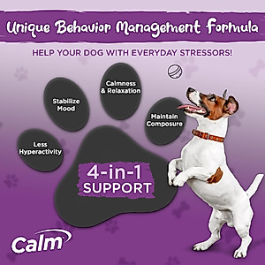 Vital Planet - Calm Chewable Tablets for Dogs, Promotes Calmness in Stressful Situations with Valerian, Lemon Balm, Chamomile, GABA, L-Theanine and Natural Herbs - 60 Beef Flavored Chewable Tablets