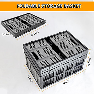 2-1 Folding Hand Truck Dolly with Shopping Basket, 330LB Heavy Duty Carrying with 4 Wheels Foldable, Retractable Handle Collapsible Cart, Include 2 Bungee Cords, for Moving, Luggage, Office