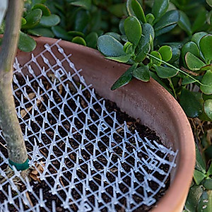 Ultragica Cat Scat Roll - Dog Scat Roll - Plastic Pet Training Mat - 6.5 feet - Keep Dogs Off Couch - Cat Spike Mat - Cat Deterrent- Cat Off Couch- Pet Off Couch- Pet Off Furniture