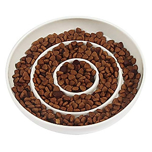 SLSON Cat Slow Feeder Bowl,Ceramic Slow Feed Cat Bowls Heavy and Shallow Wisker Stress-Free Pets Dish for Kittens Small Pets Wet Food,White